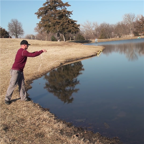 Golden Retriever Disc Grabber – Tight House Disc Golf